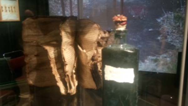 Installations – Elaine Paton